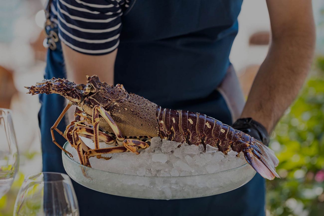 Gastronomy | Nammos World