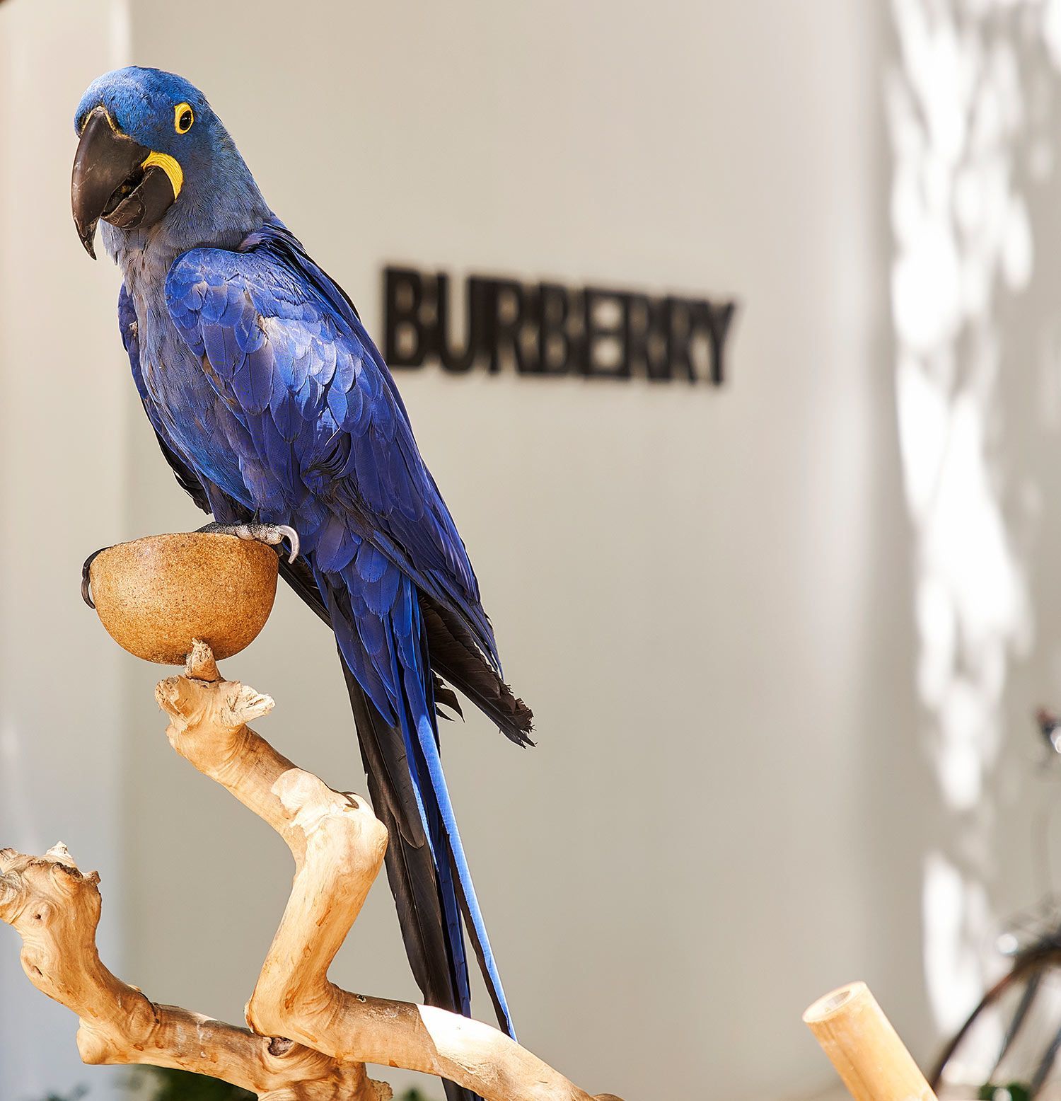 NAMMOS Village | Nammos World