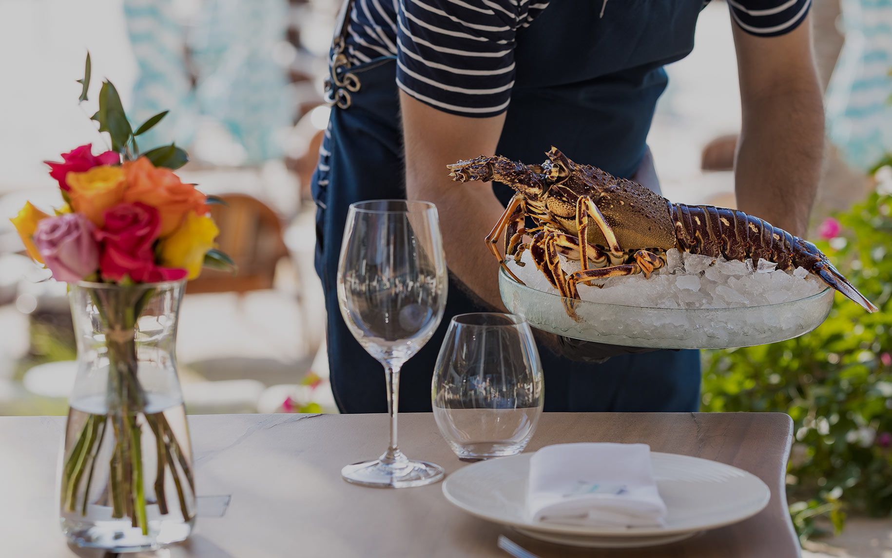 Career | Nammos World